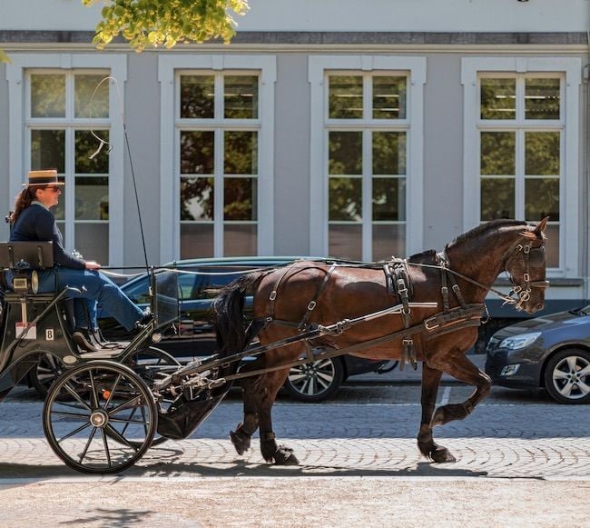COURTESY AND CONDUCT TIPS FOR CARRIAGE DRIVING ON ROADWAYS